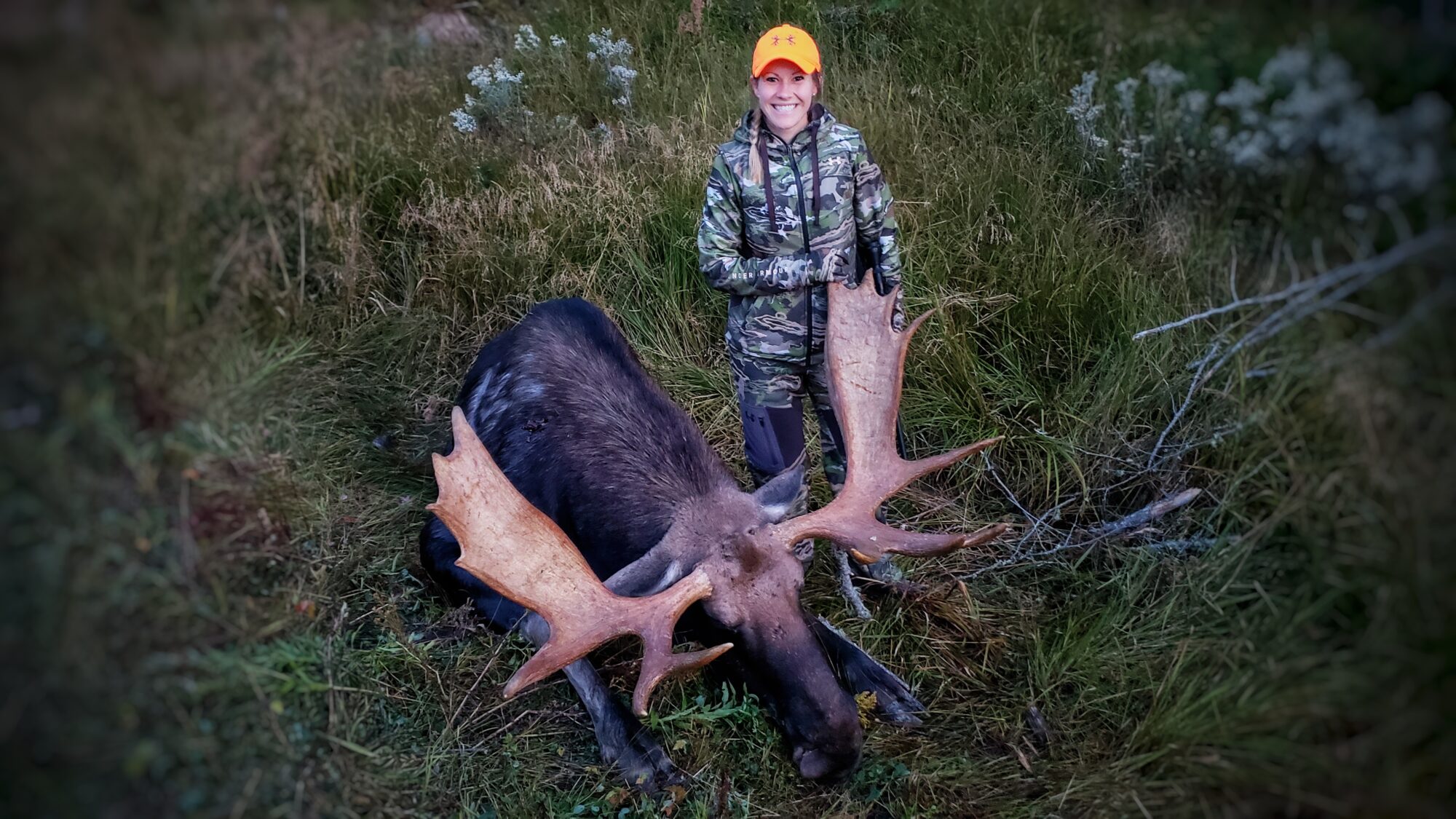 Moose Hunting - Hunting Expedition - OMM Outfitters