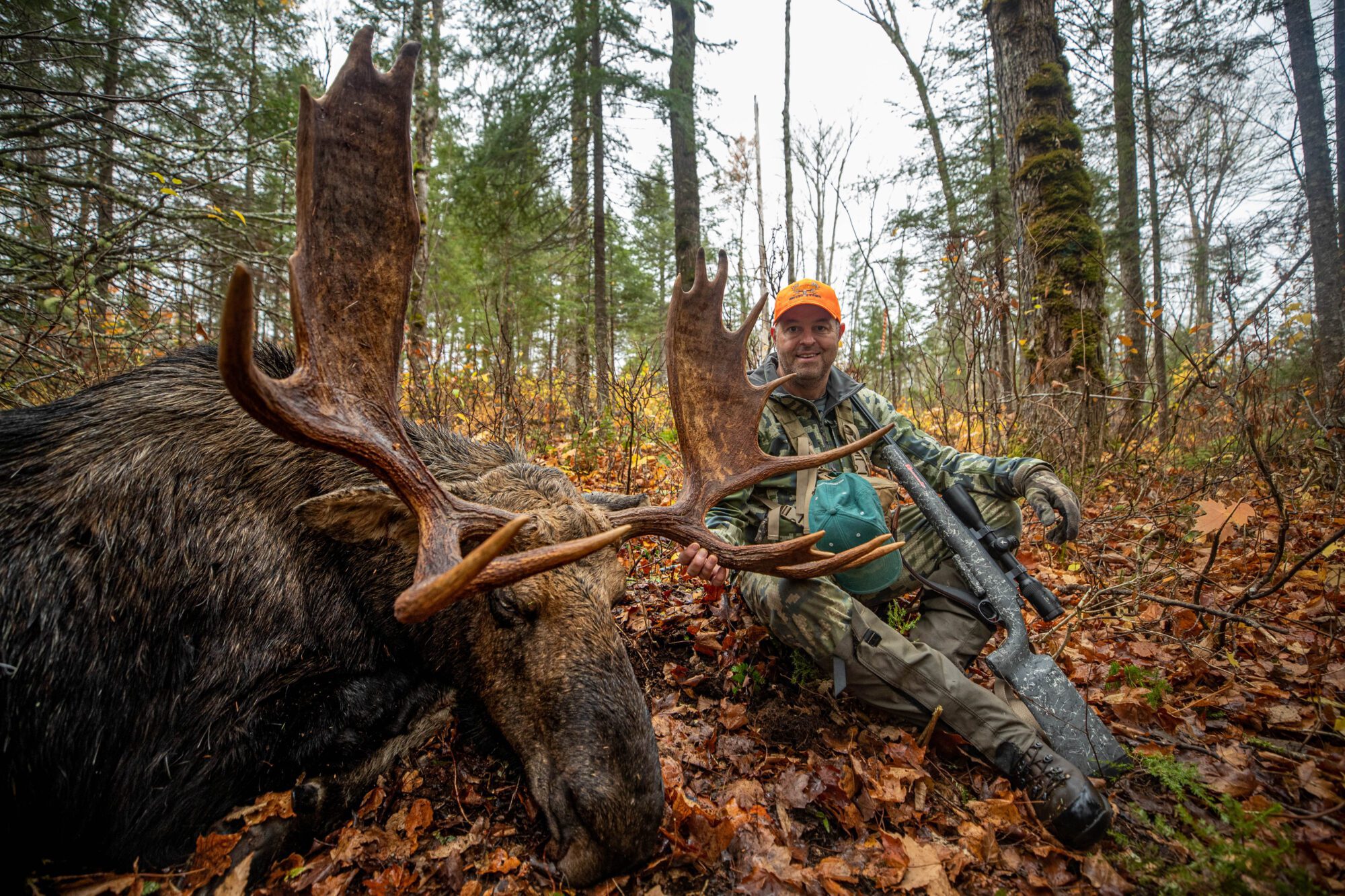 Moose Hunting - Hunting Expedition - OMM Outfitters