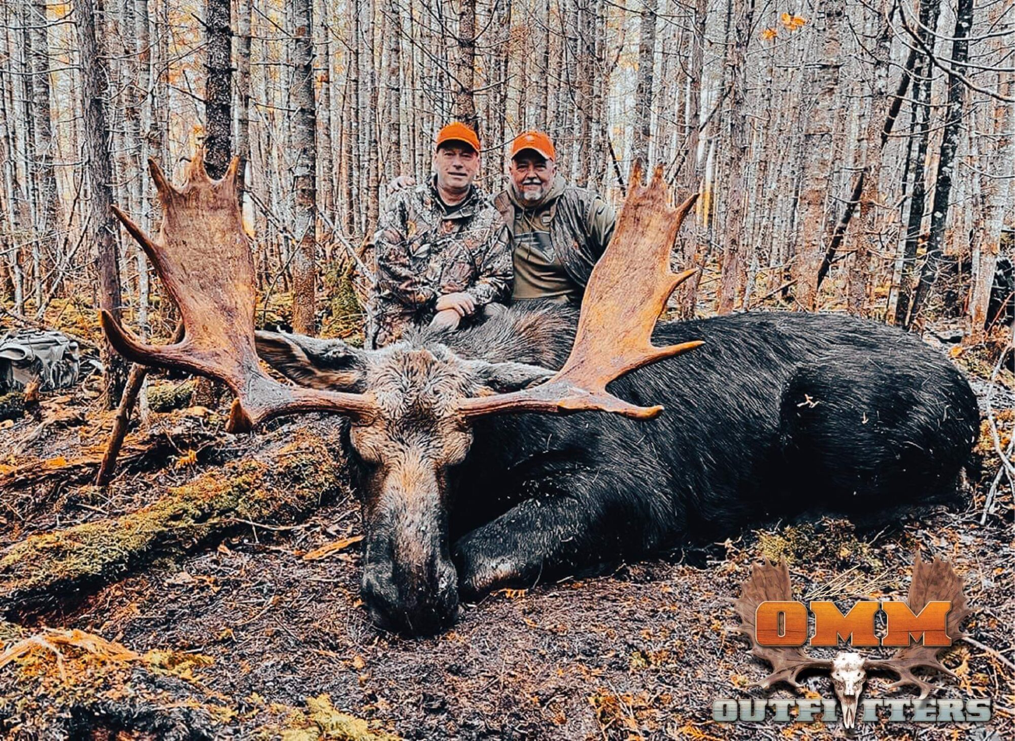 Moose Hunting - Hunting Expedition - OMM Outfitters
