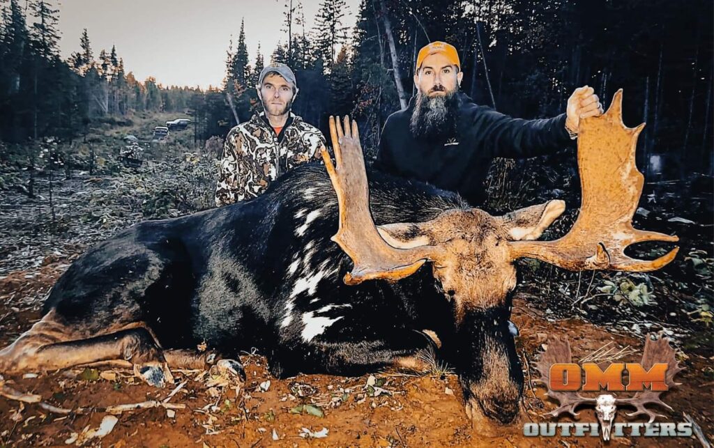 Moose Hunting - Hunting Expedition - OMM Outfitters