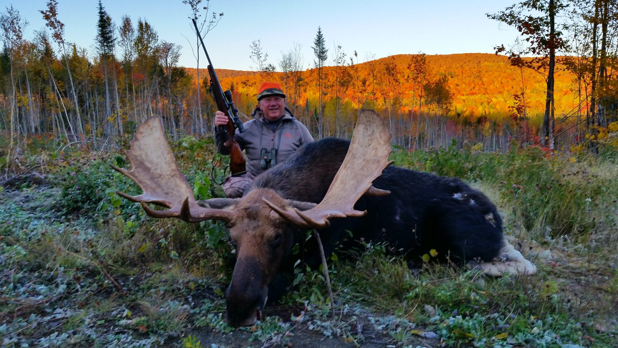 Moose Hunting - Hunting Expedition - OMM Outfitters