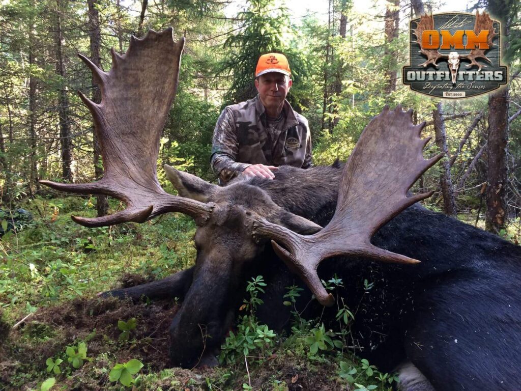 Moose Hunting - Hunting Expedition - OMM Outfitters