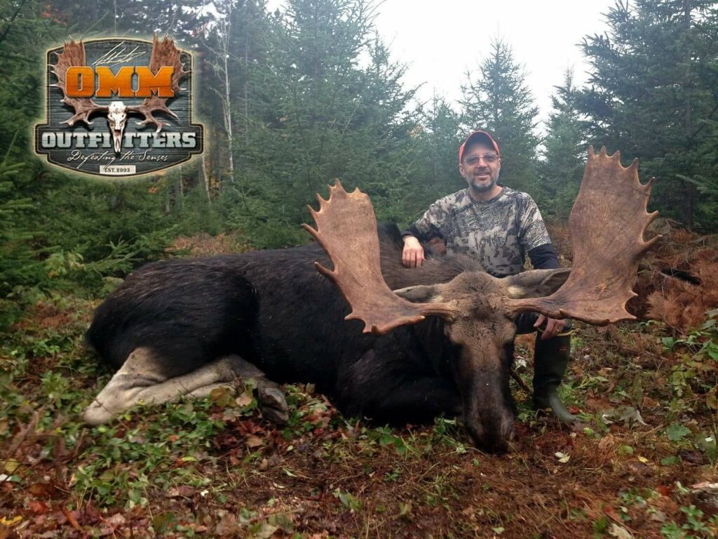 Moose Hunting - Hunting Expedition - OMM Outfitters