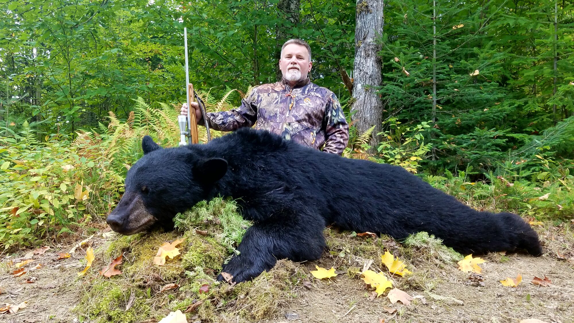 Bear Hunting | Black Bear Hunting by OMM Outfitters