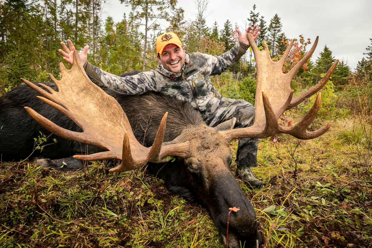 Hall of Fame Bulls - Legendary Bull Tales - OMM Outfitters