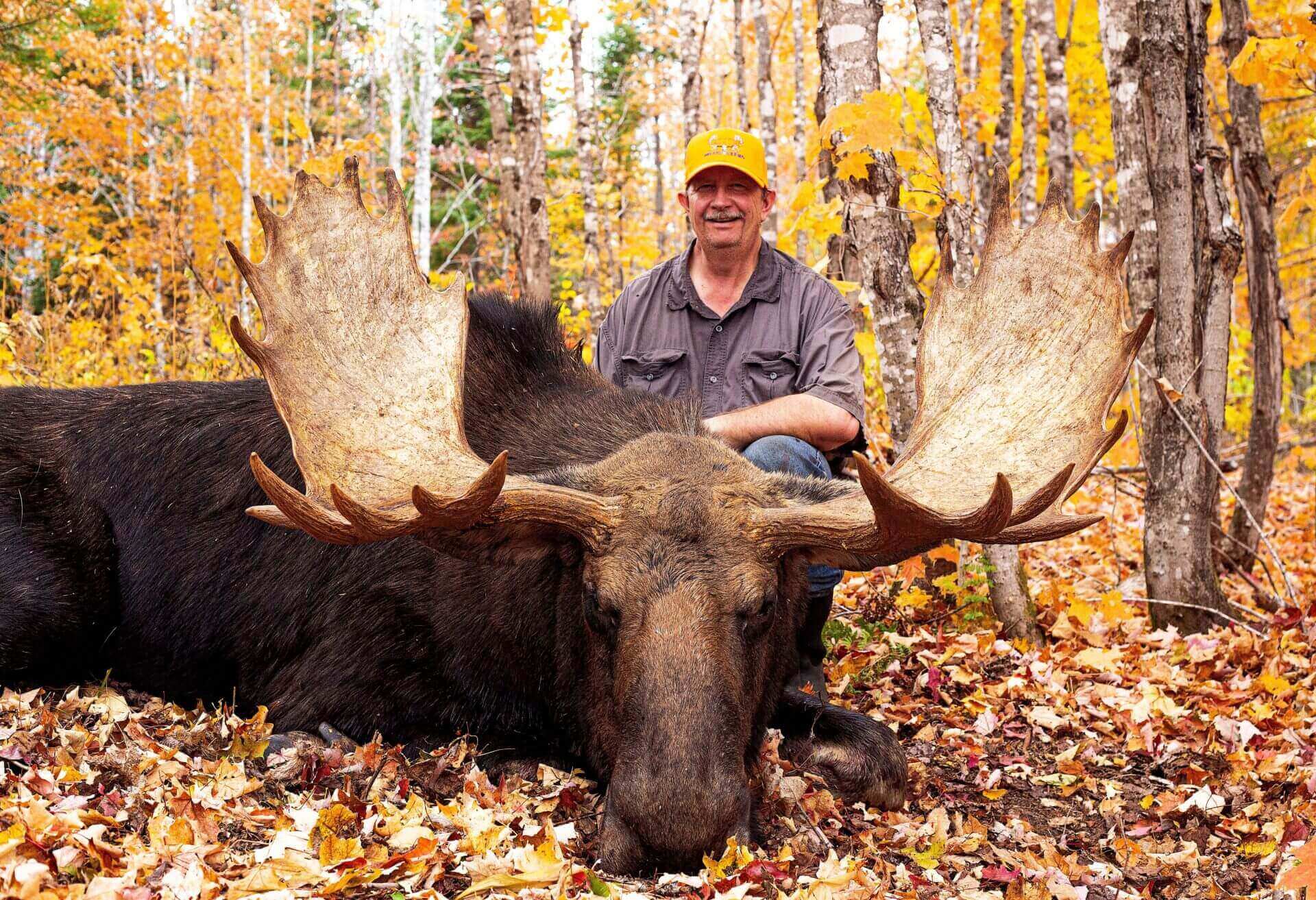 Hall of Fame Bulls - Legendary Bull Tales - OMM Outfitters