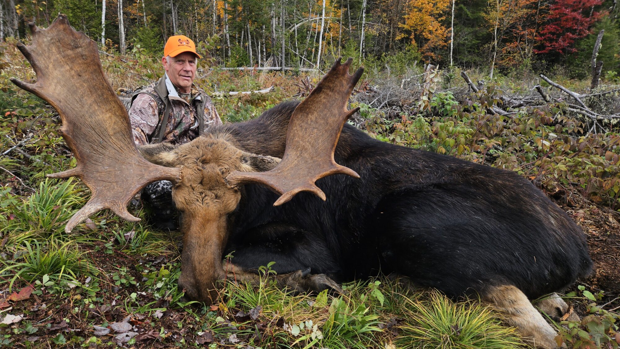 Moose Hunting - Hunting Expedition - OMM Outfitters