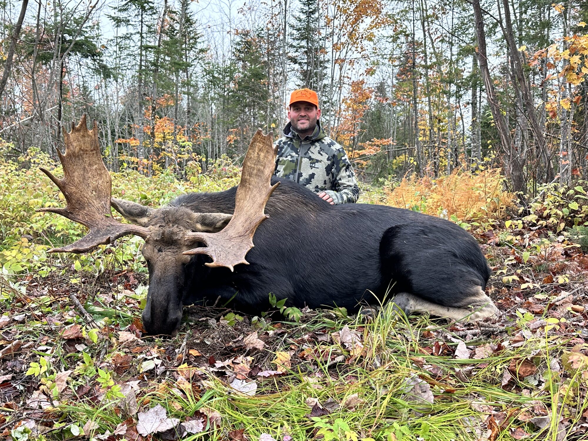 Moose Hunting - Hunting Expedition - OMM Outfitters