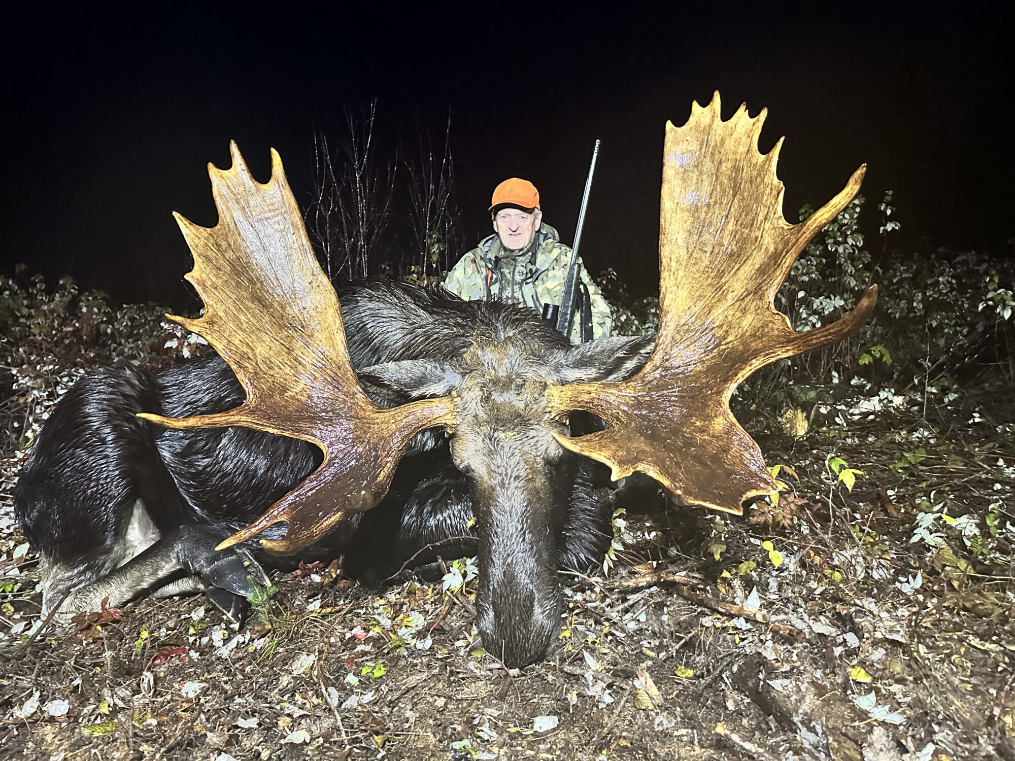 Moose Hunting - Hunting Expedition - OMM Outfitters